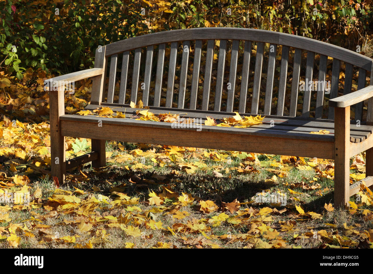Yellow autumn leaves on a park bench Stock Photo - Alamy