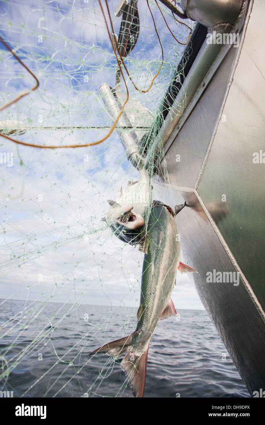 Side view of fishing boat hi-res stock photography and images - Alamy