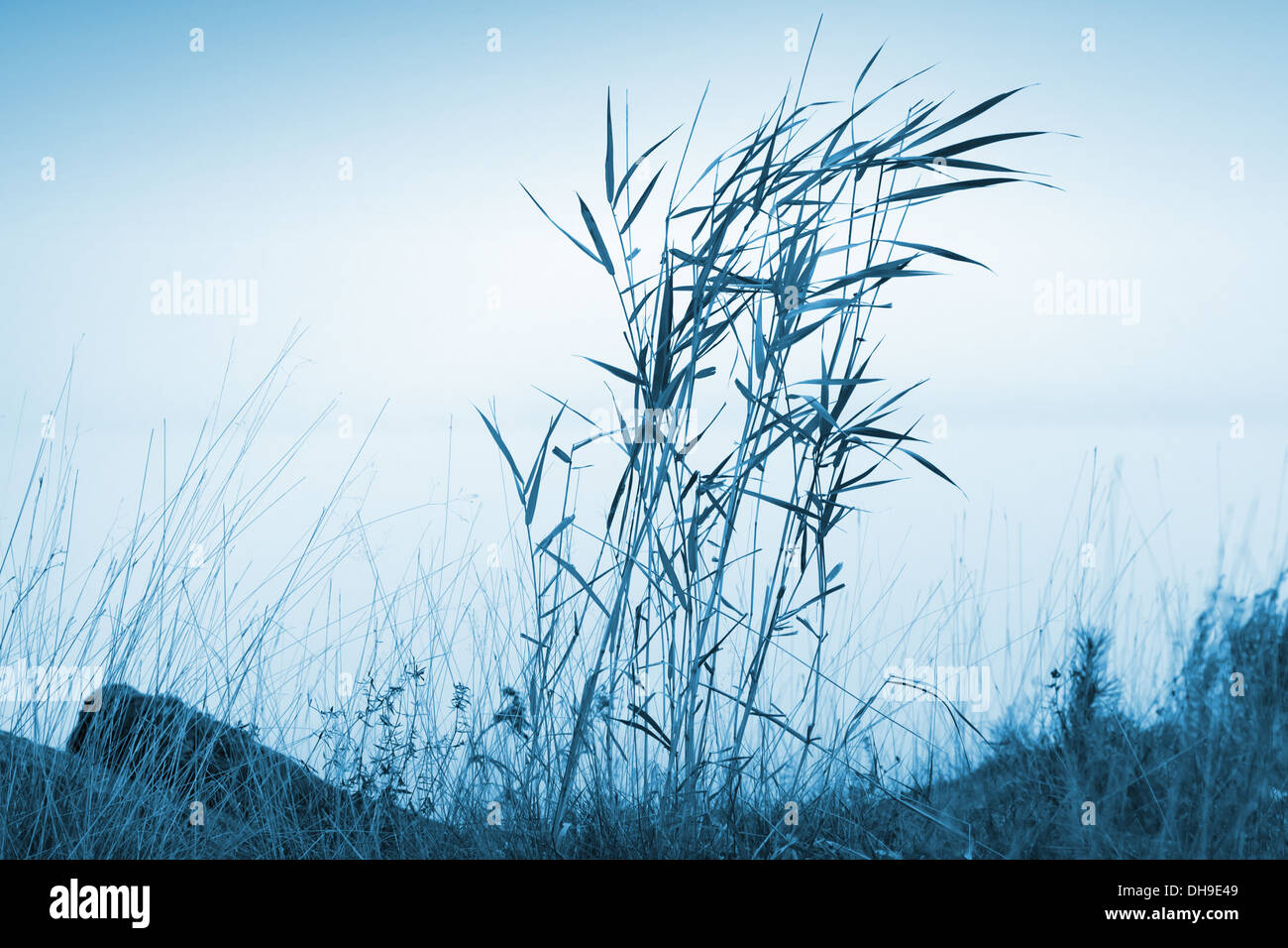 Blue water landscape hi-res stock photography and images - Alamy