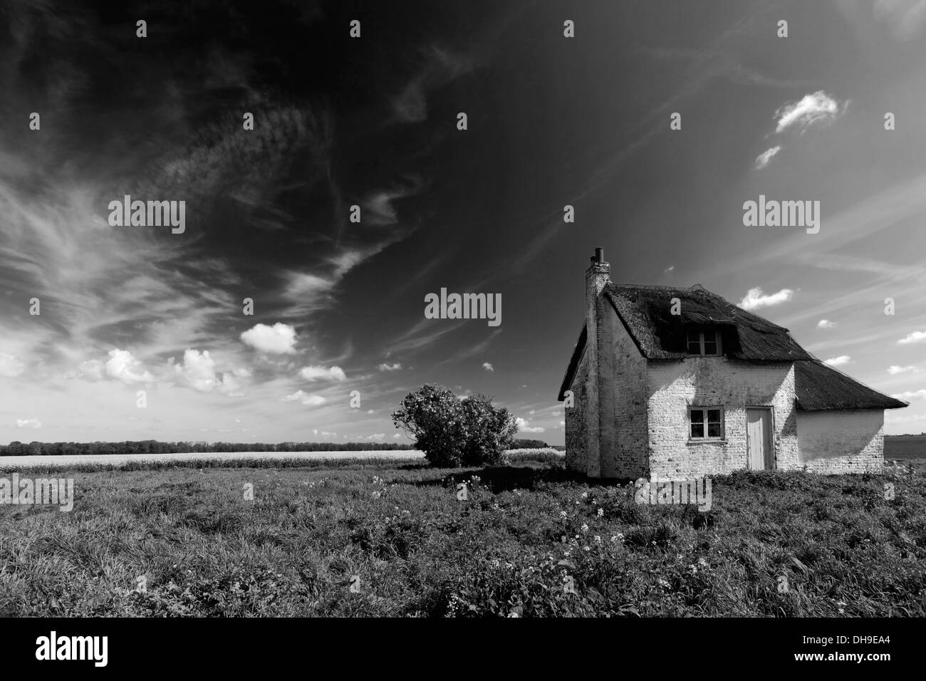 English cottage field Black and White Stock Photos & Images - Alamy
