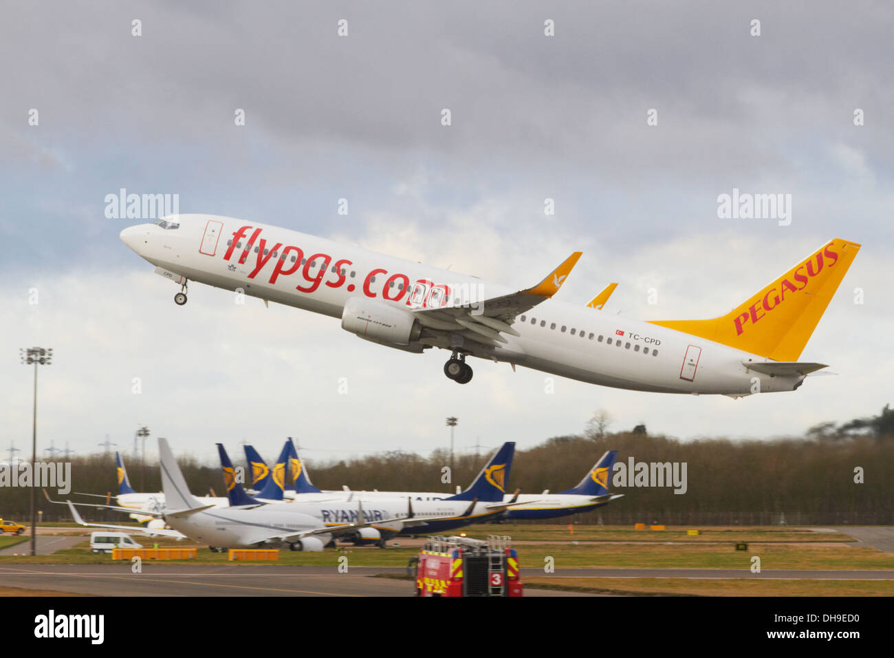 Pegasus boeing 737 800 hi-res stock photography and images - Alamy