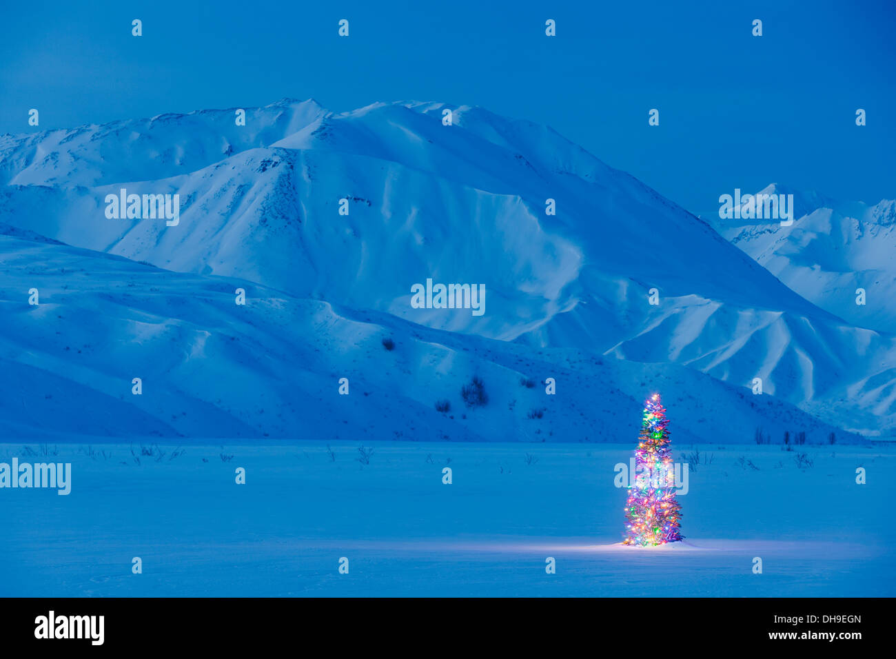 A Christmas Tree Lit Up At Twilight With The Alaska Range Behind It ...