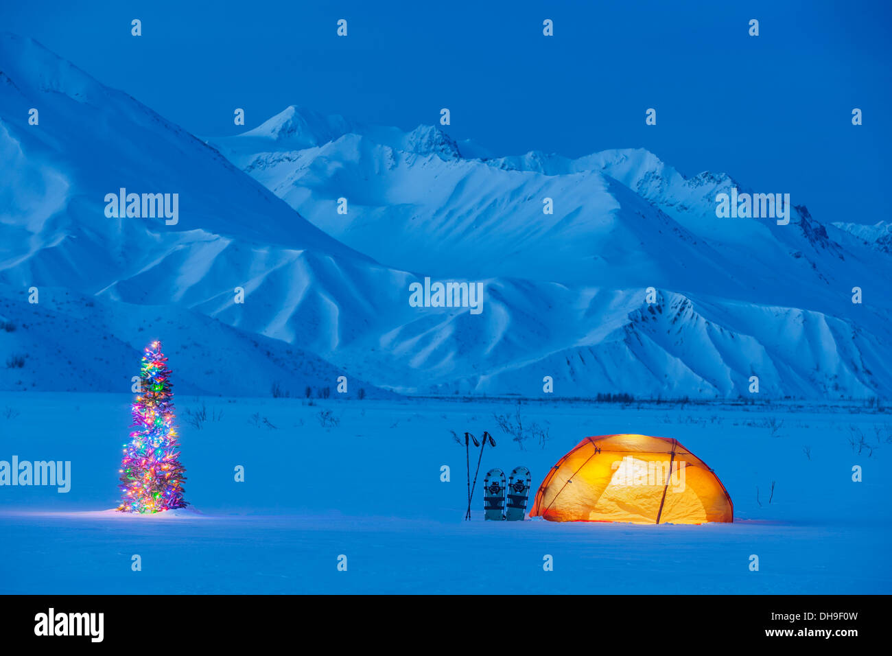 A Backpacking Tent Lit Up At Twilight With A Christmas Tree Next To It ...