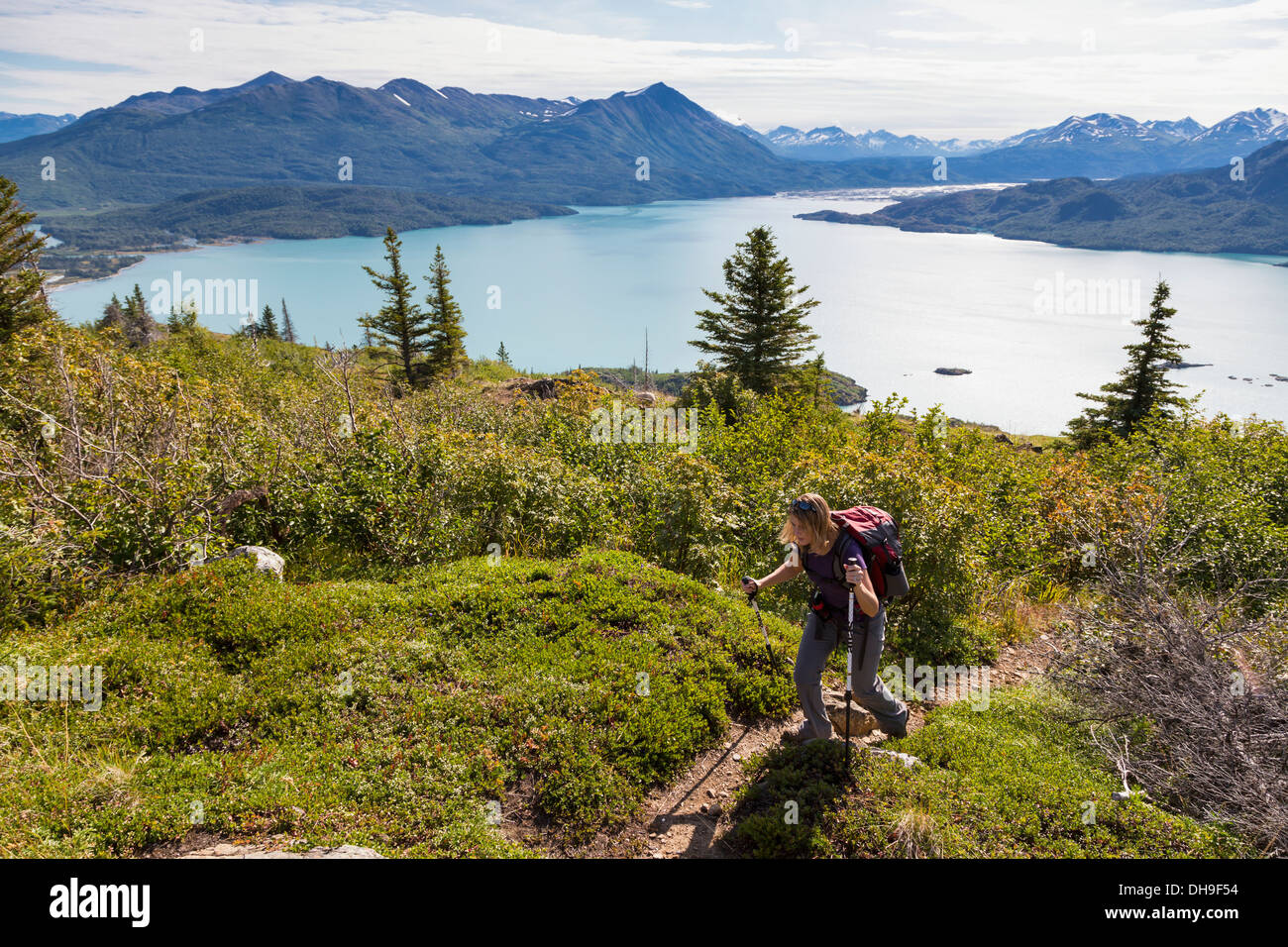 Female Hiking The Skilak Lookout Trail Overlooking Skilak Lake In The ...
