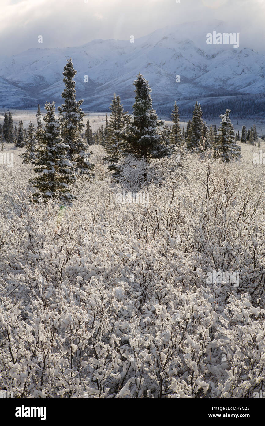 Denali in the winter hi-res stock photography and images - Alamy
