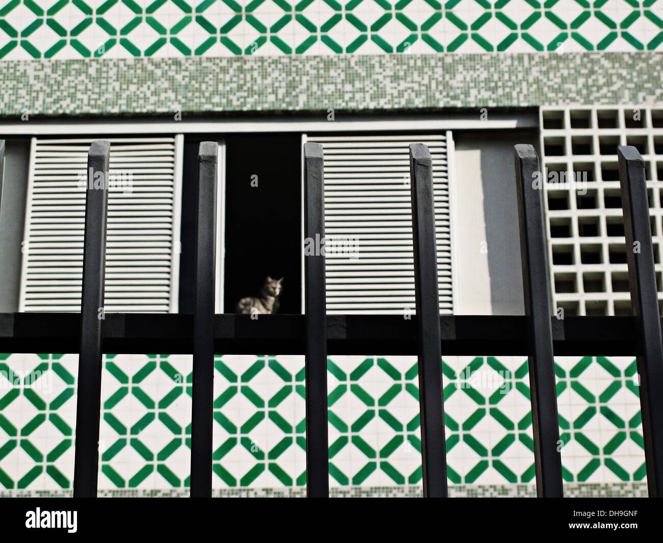 Brazil pattern hi-res stock photography and images - Alamy