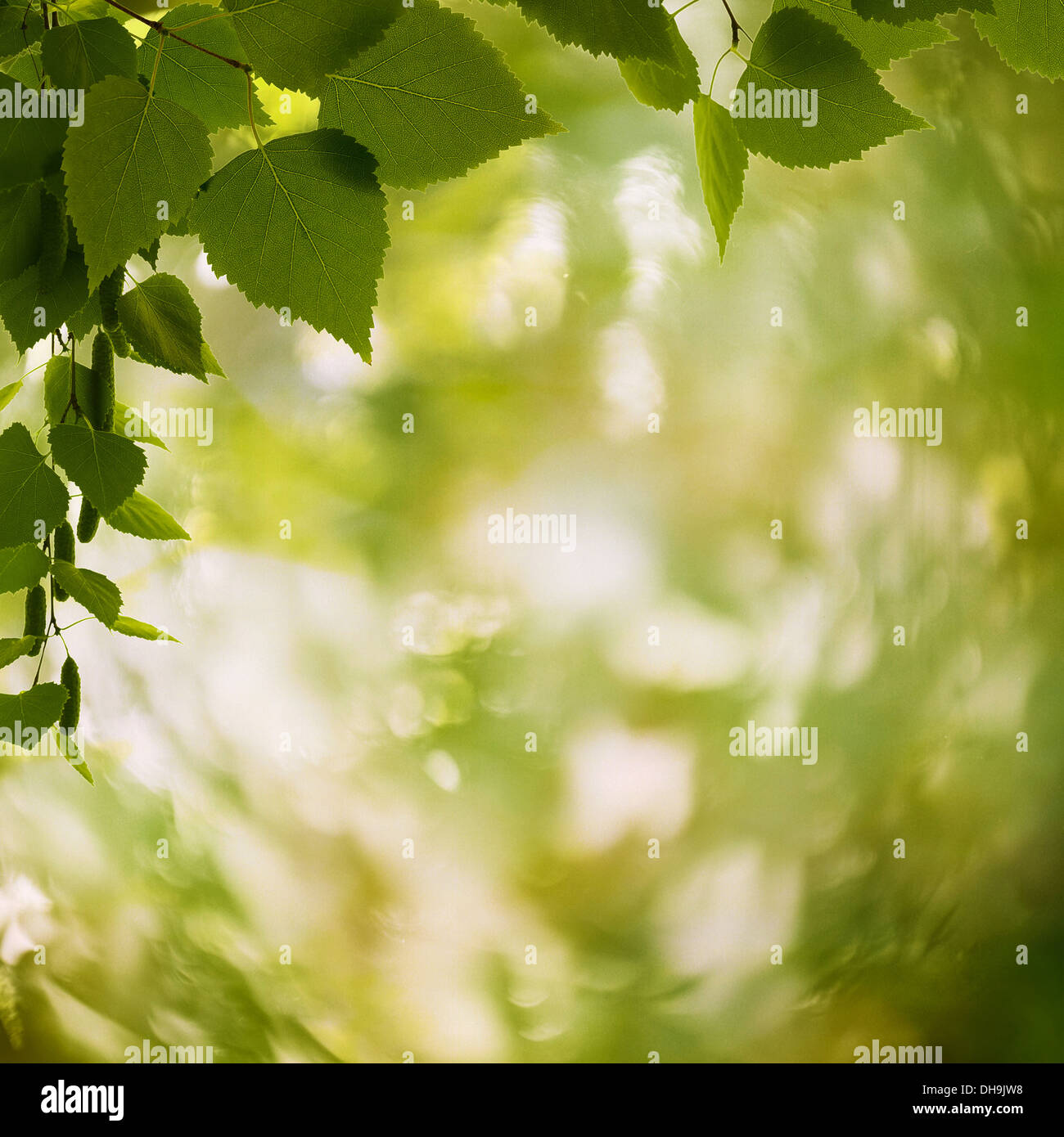 Petzval hi-res stock photography and images - Alamy