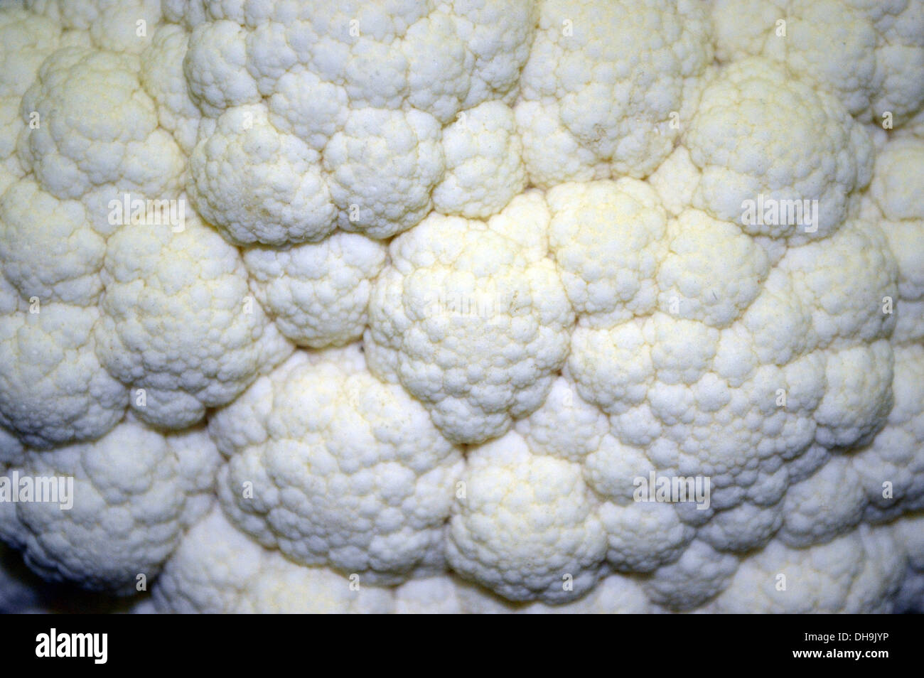 Show cauliflower hi-res stock photography and images - Alamy