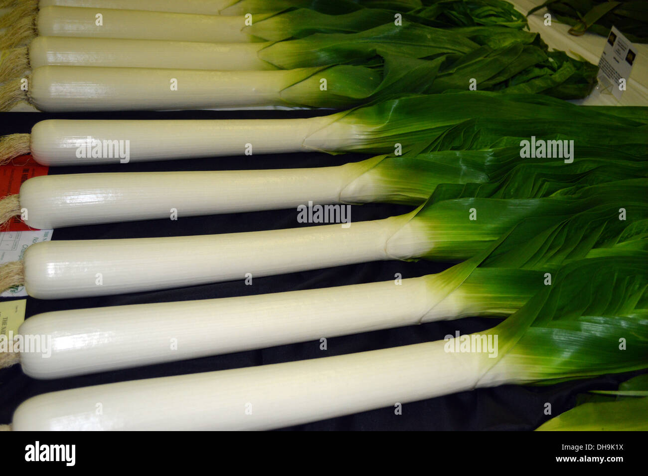 Show Leeks High Resolution Stock Photography and Images - Alamy