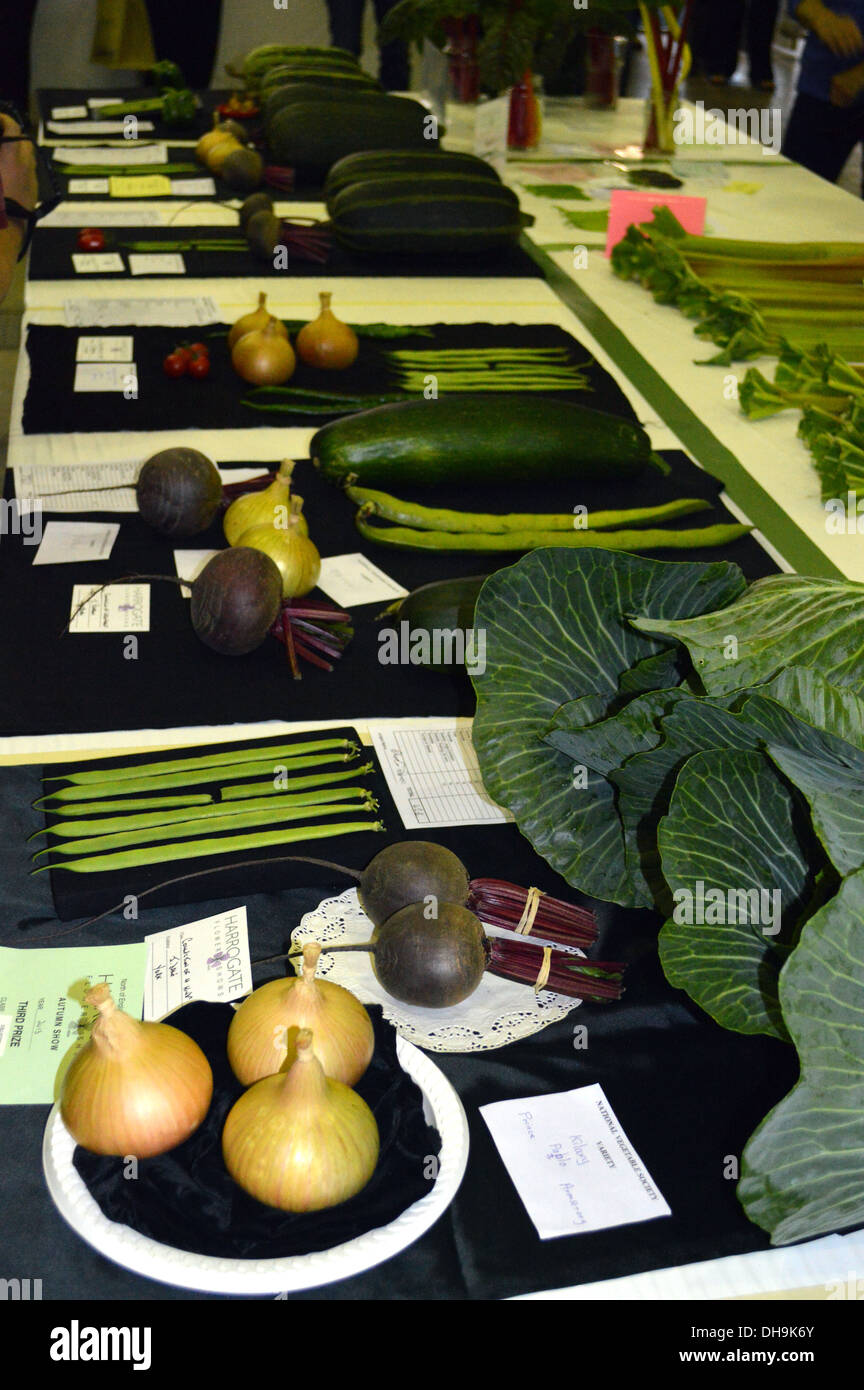 Display of Mixed Prize Winning Vegetables at the Harrogate Autumn ...