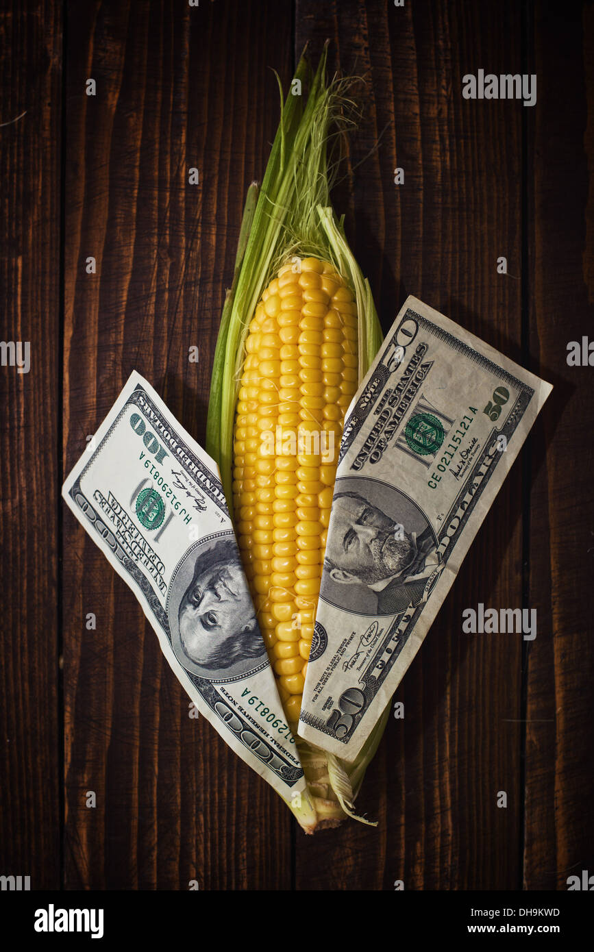 Corn is money. Ear of corn with dollar bills as conceptual image for ...
