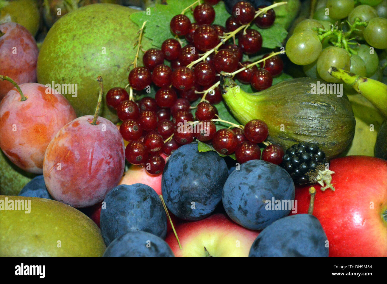 Close up of a Display of Mixed English Fruits at the Harrogate Autumn ...