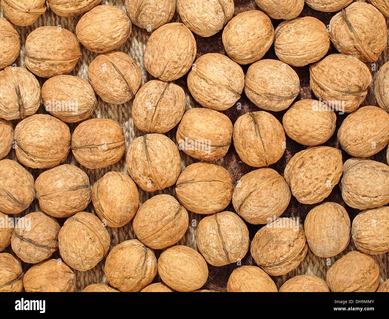 Scattered pile of walnuts hi-res stock photography and images - Alamy