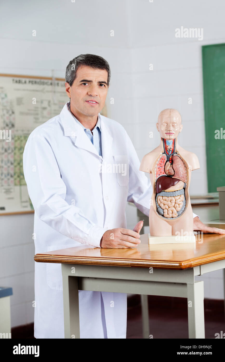 Anatomical study standing man hi-res stock photography and images - Alamy