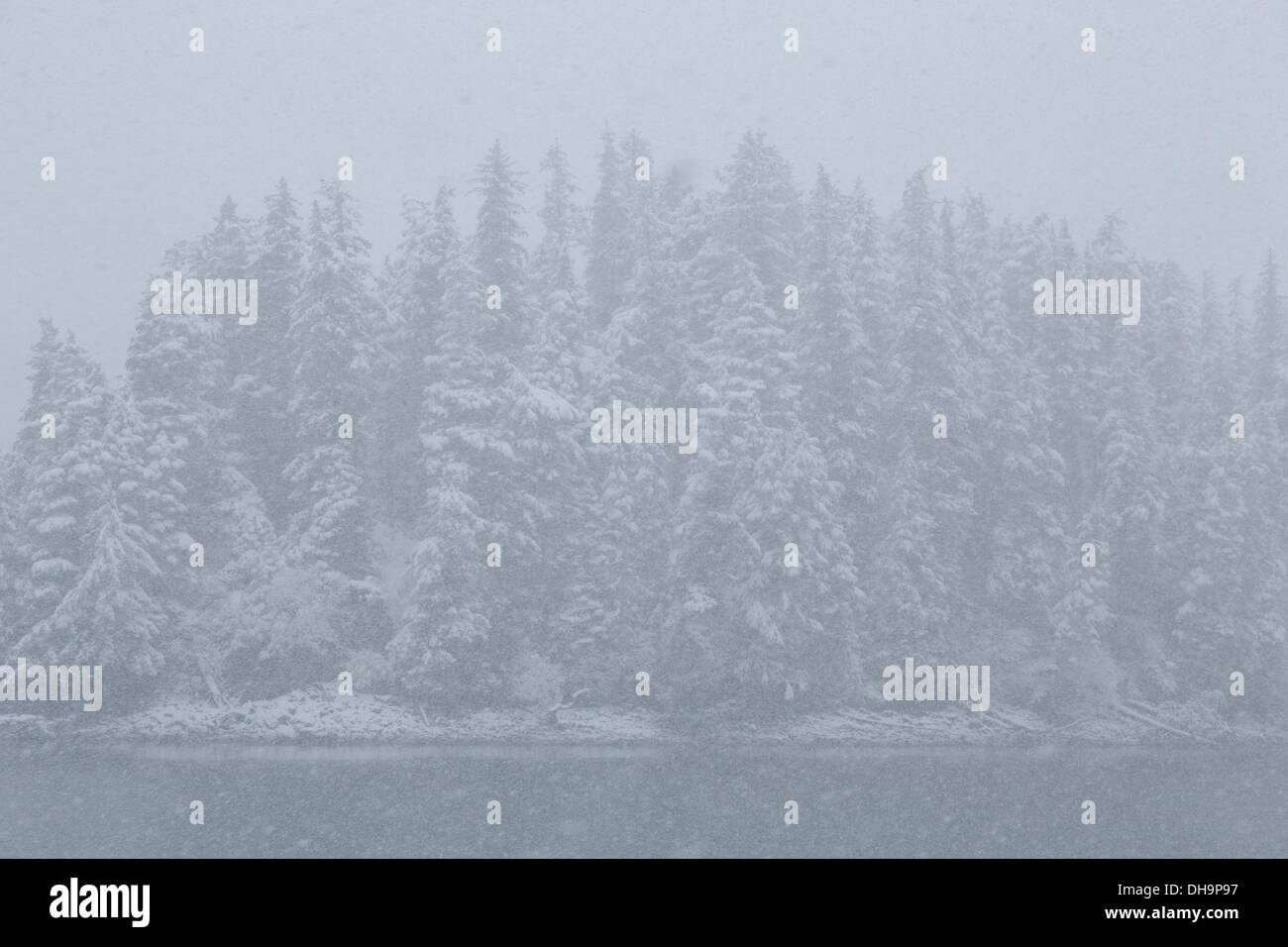 Snow in Culross Passage, Prince William Sound, Chugach National Forest ...