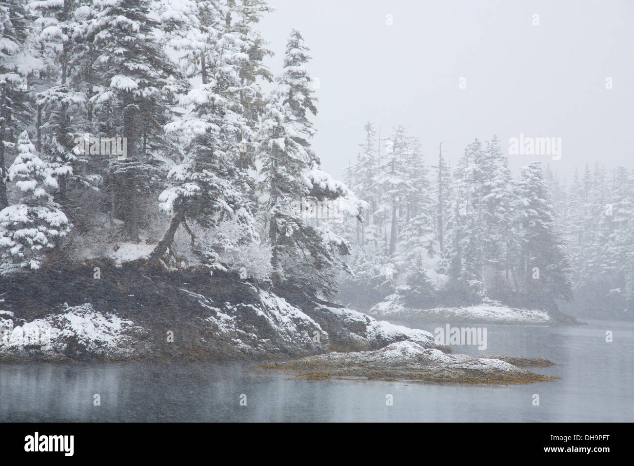 Snow in Culross Passage, Prince William Sound, Chugach National Forest ...