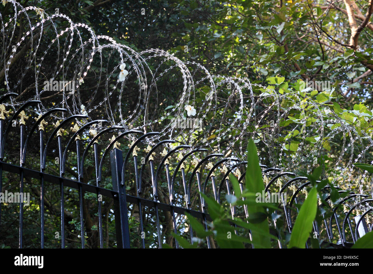 Barbed wire fence Stock Photo - Alamy