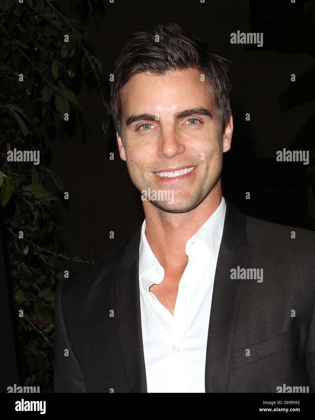 Colin Egglesfield Lifetime And Sony Pictures Television Red Carpet ...