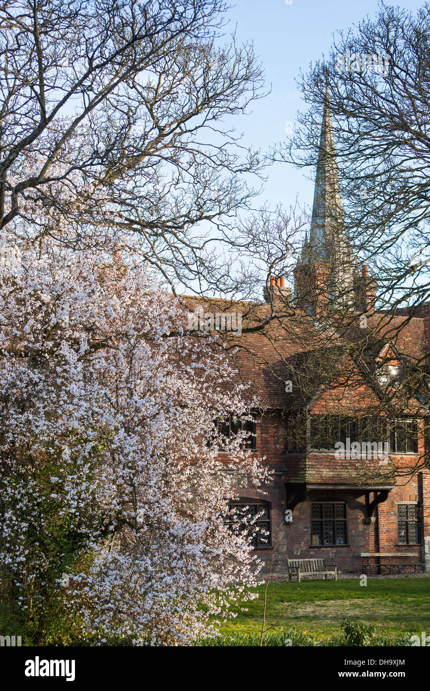 Spring Blossoms Salisbury England UK Stock Photo - Alamy