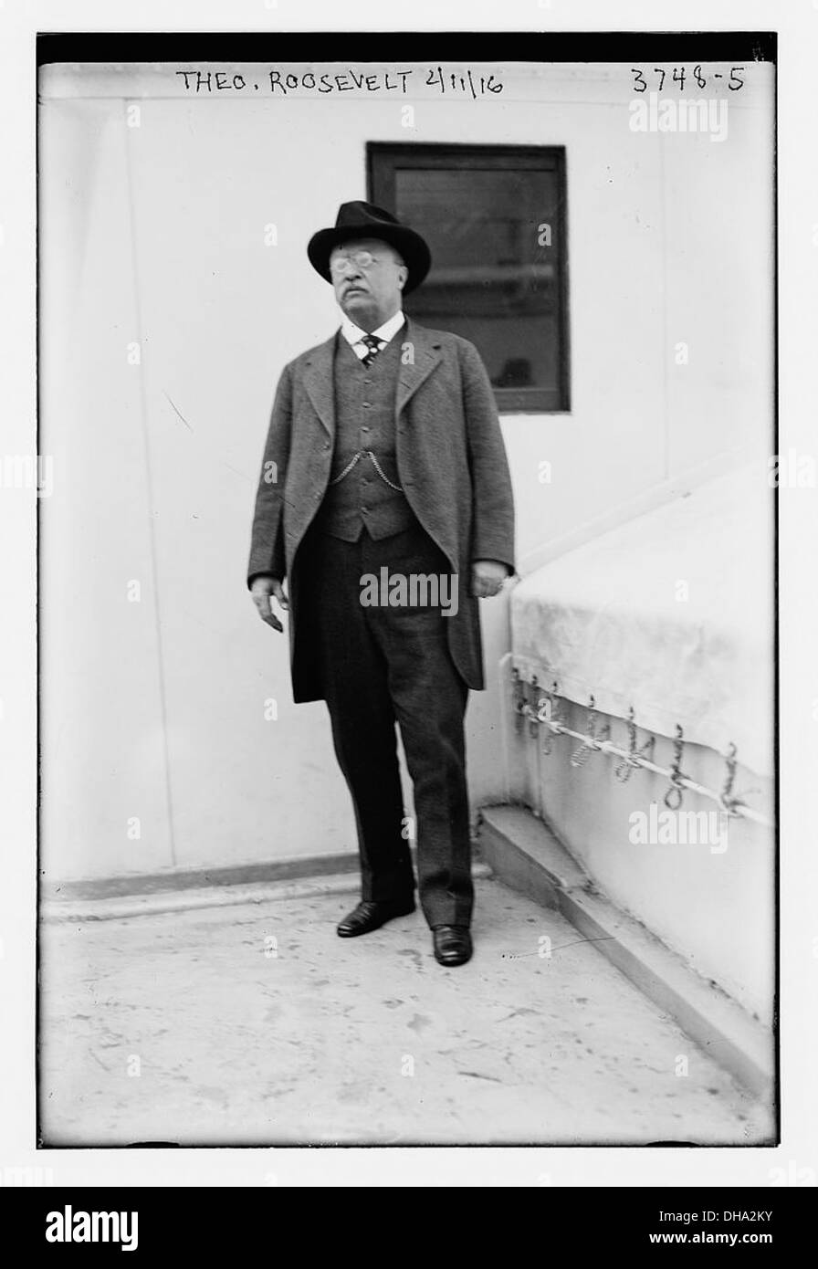 This portrait of Theodore Roosevelt, taken in 1916, shows the 26th ...