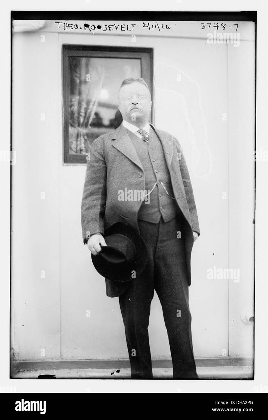 This portrait of Theodore Roosevelt, taken on February 11, 1916 ...