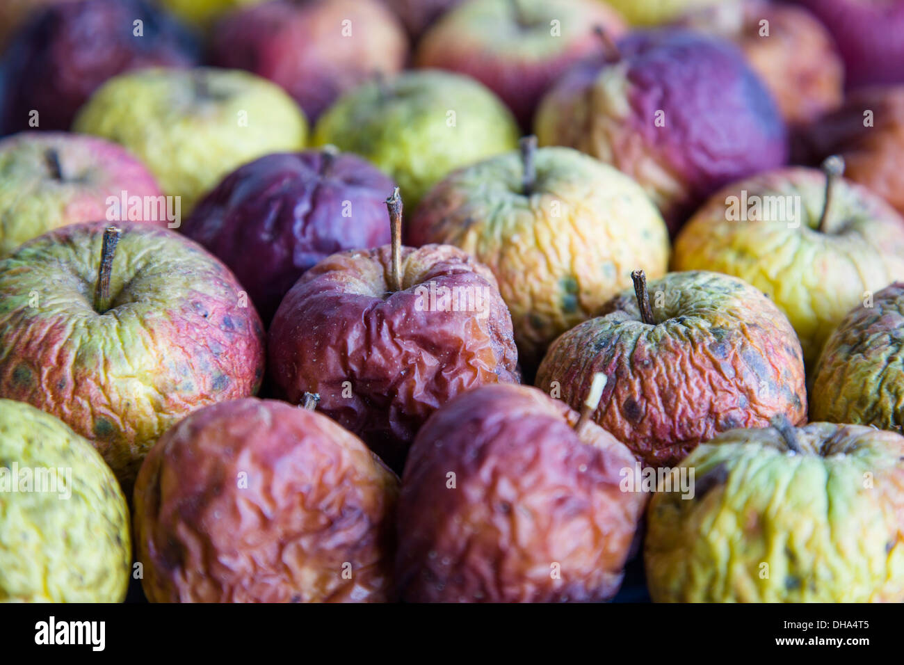 Wrinkled apples hi-res stock photography and images - Alamy