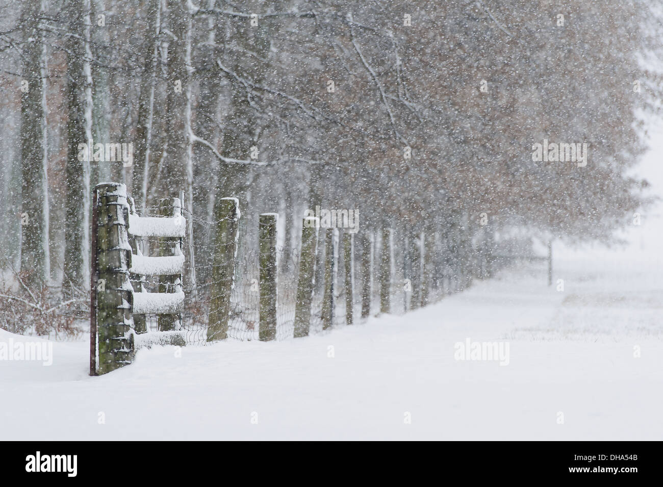 Snowy path along wooden fence hi-res stock photography and images - Alamy