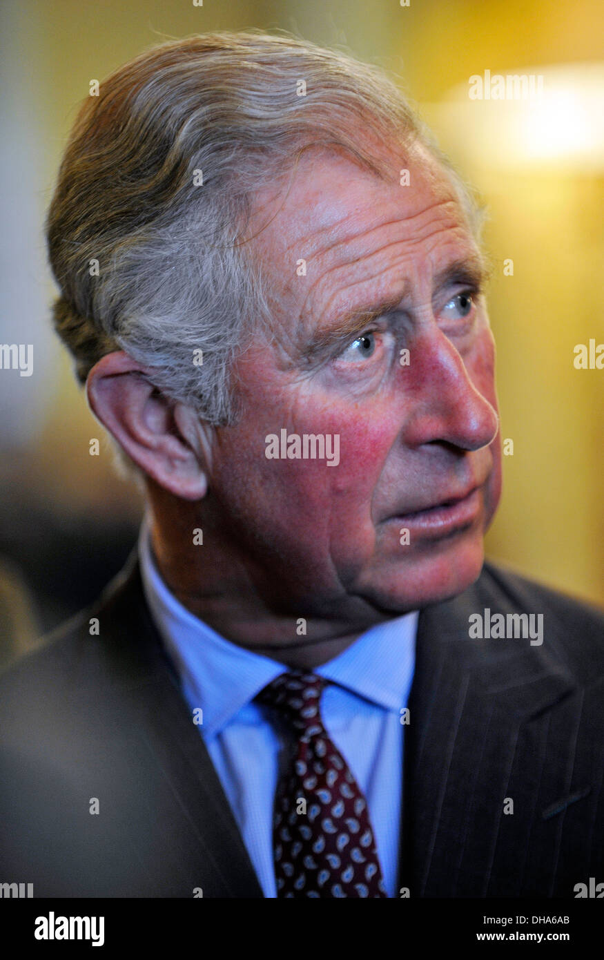 HRH Prince Charles, photographed on a visit to Dumfries House, Scotland ...