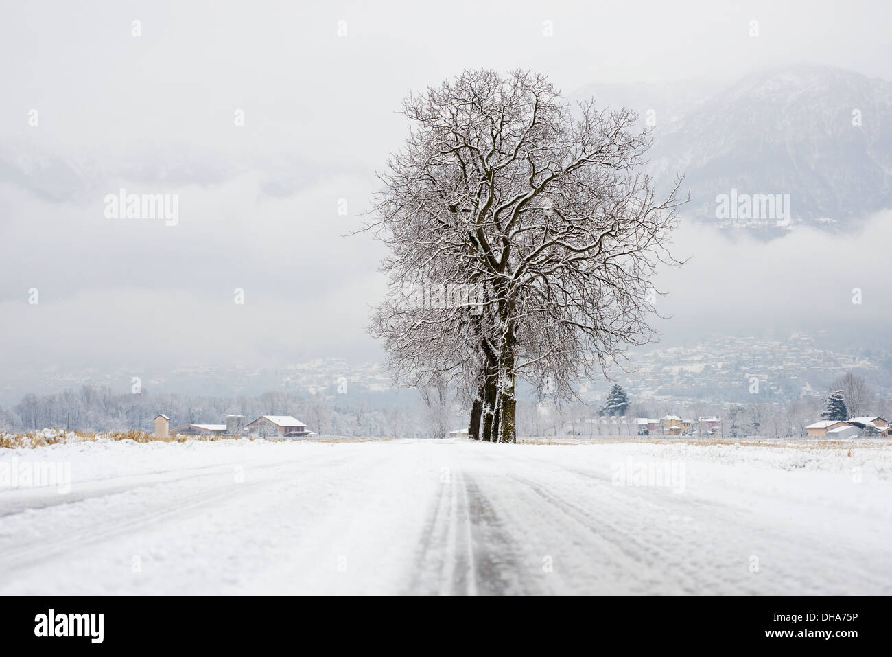 Snow Covered Road Under An Overcast Sky Stock Photo - Alamy