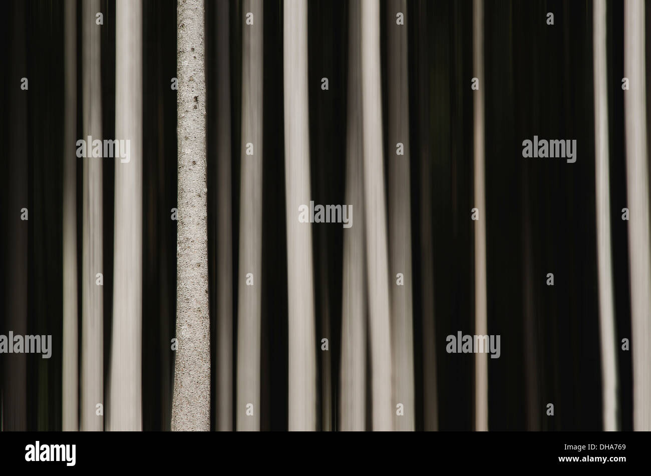 A Textured Edge Amongst Plain Edges In A Row Stock Photo - Alamy