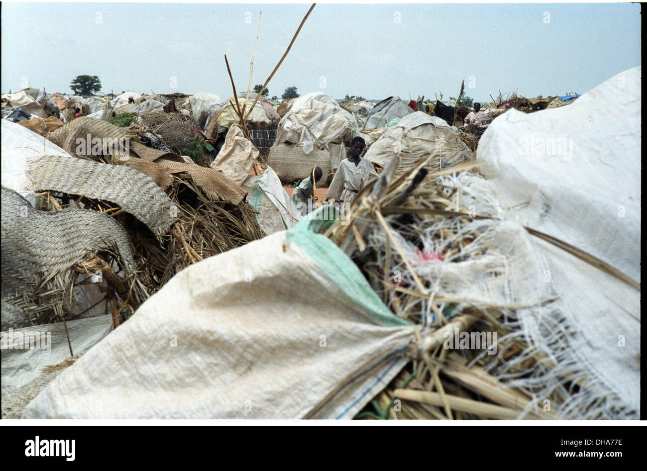 Nyala darfur hi-res stock photography and images - Alamy