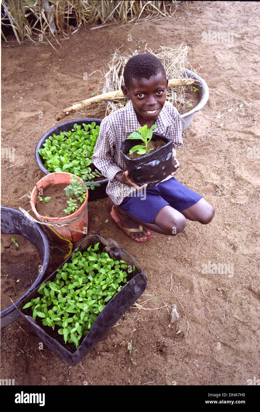 African boy planting tree hi-res stock photography and images - Alamy