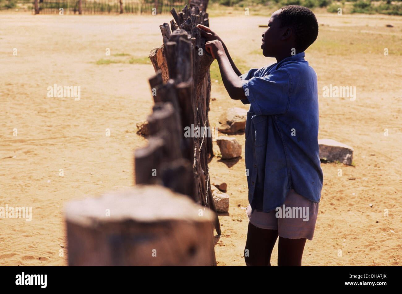 Maphisa hi-res stock photography and images - Alamy