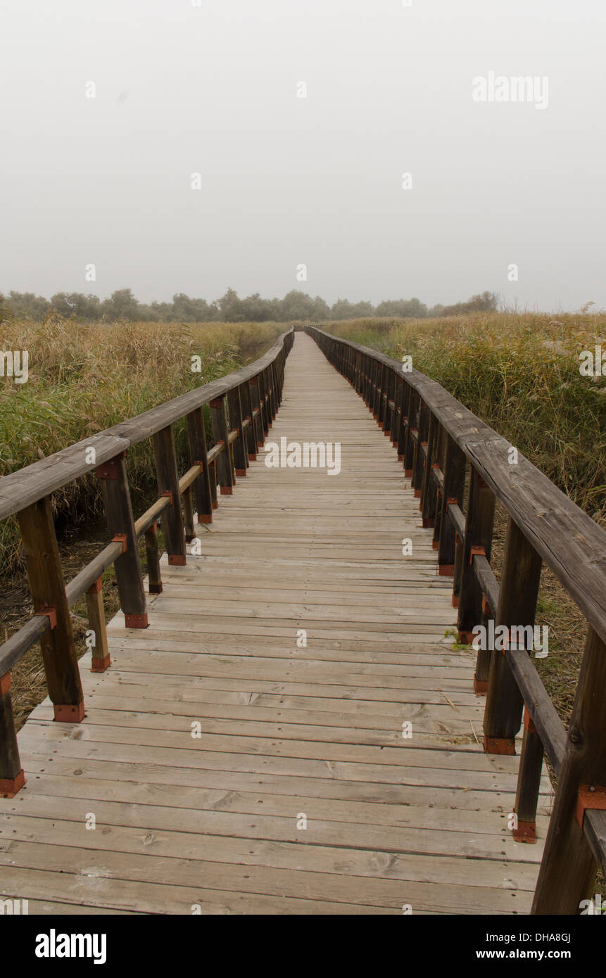 Pasarela hi-res stock photography and images - Alamy