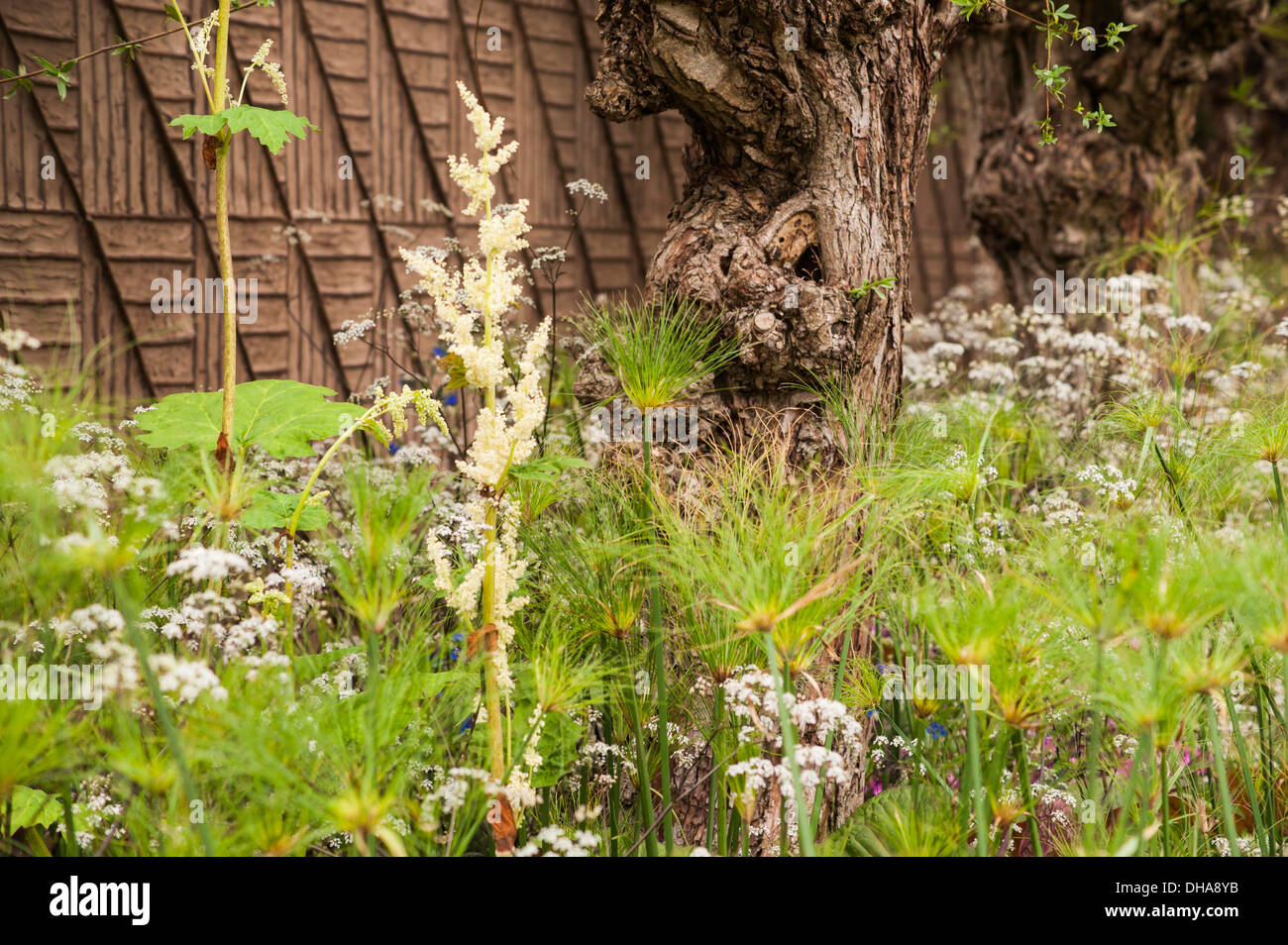 Chelsea Flower Show 2013 B&Q Sentebale ÈForget-me-notı Garden Designer ...