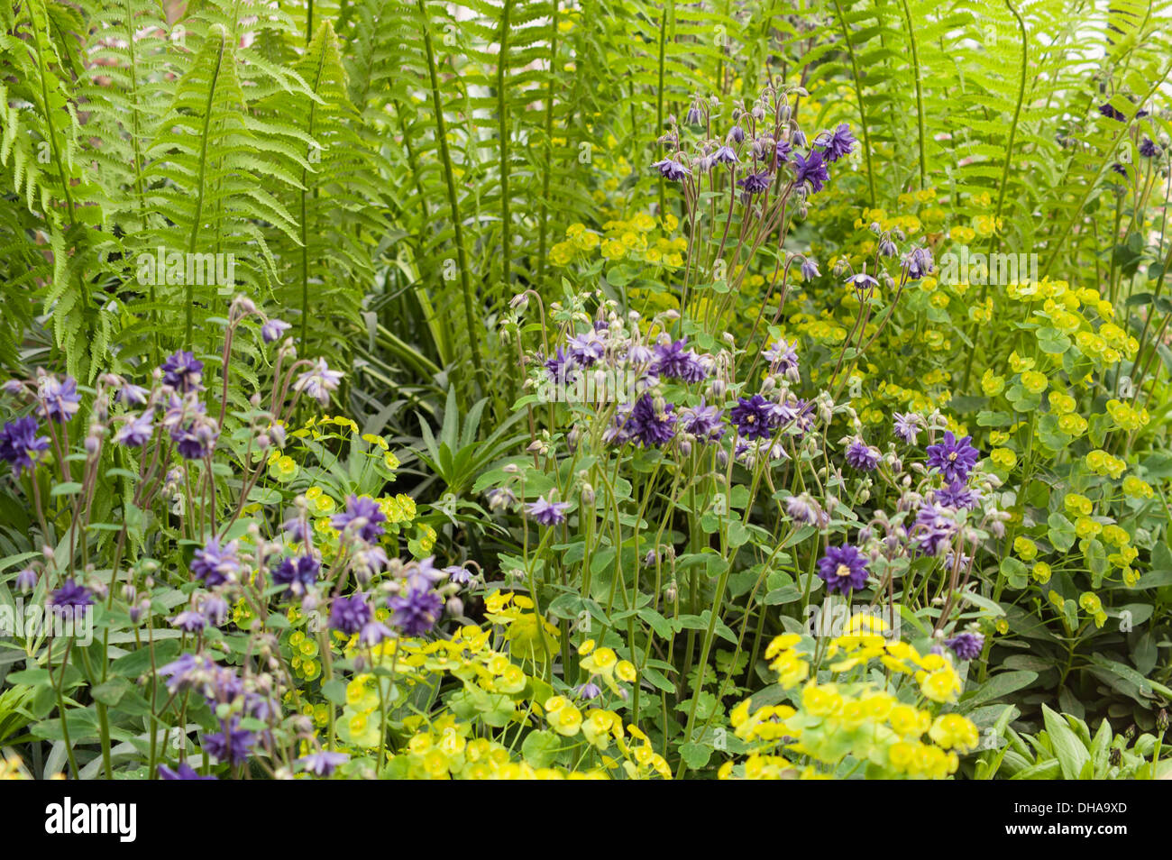 Chelsea Flower Show 2013, East Village garden, Designers Michael ...