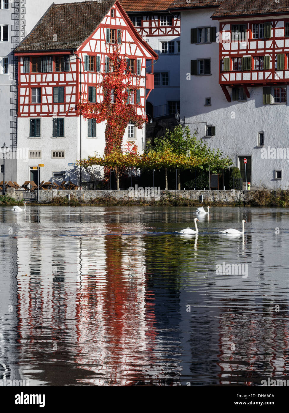 Typical Swiss house reflected on Rhine river with swans, Eglisau ...