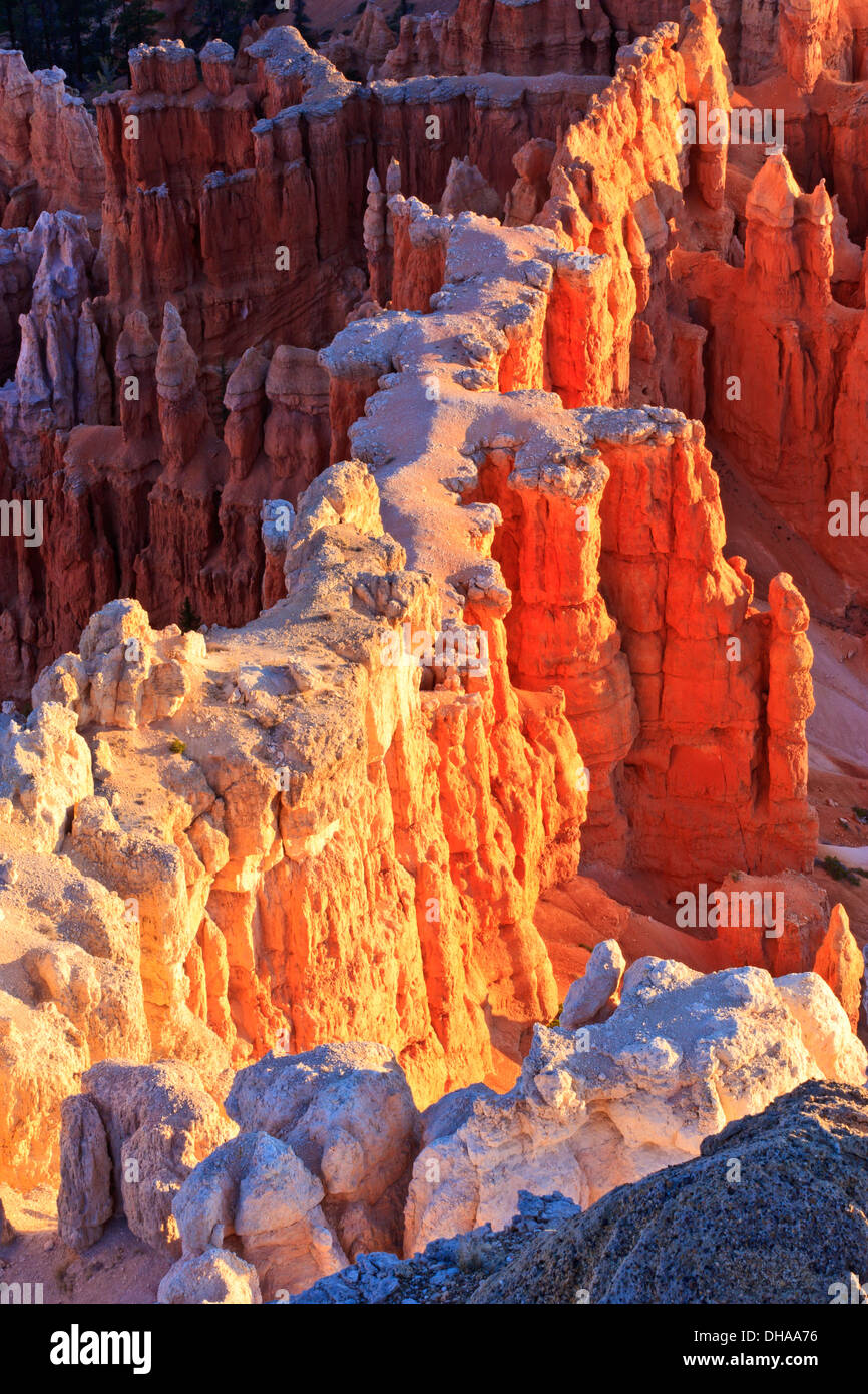 Sun hits 'The Alligator' rock formation below Bryce Point in Bryce ...