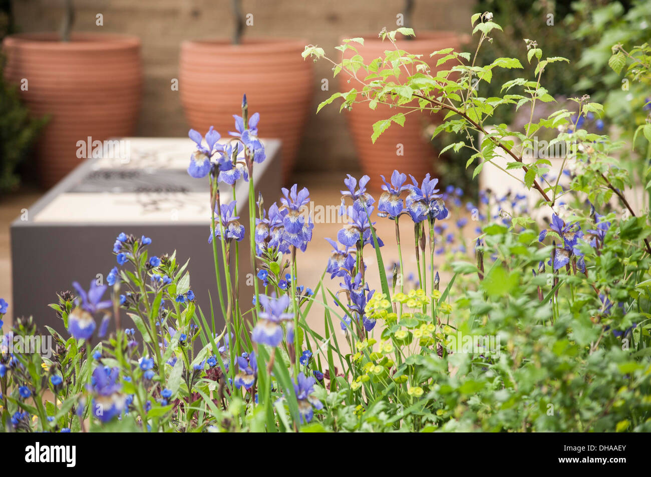 Seeds of change hi-res stock photography and images - Alamy