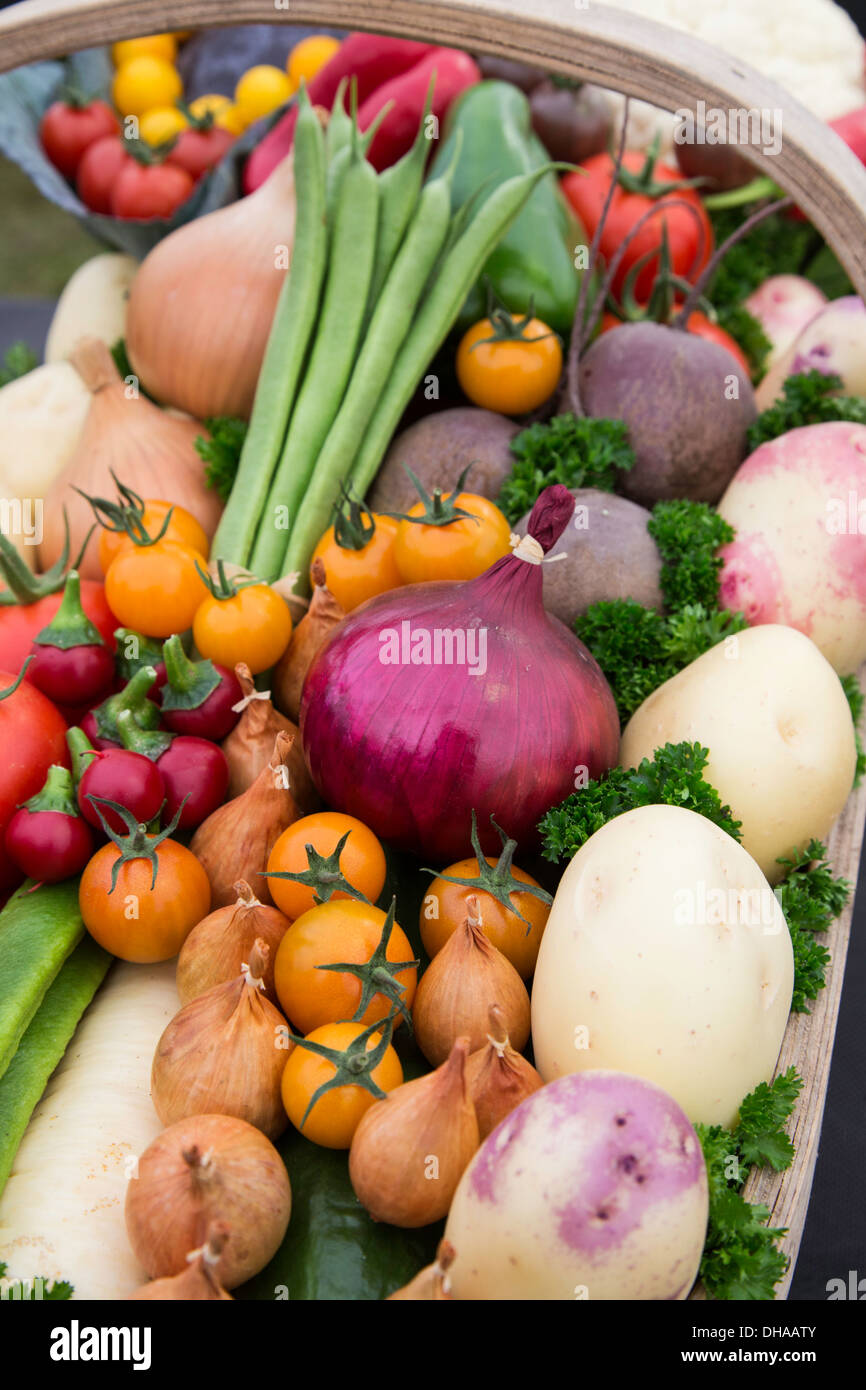 Vegetables in a garden Trug, England, UK Stock Photo - Alamy