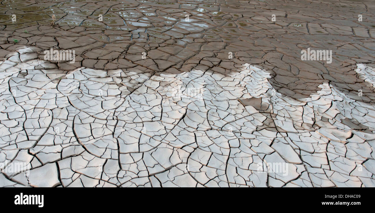 Dry Cracked Ground With Water Soaking Into It Stock Photo - Alamy