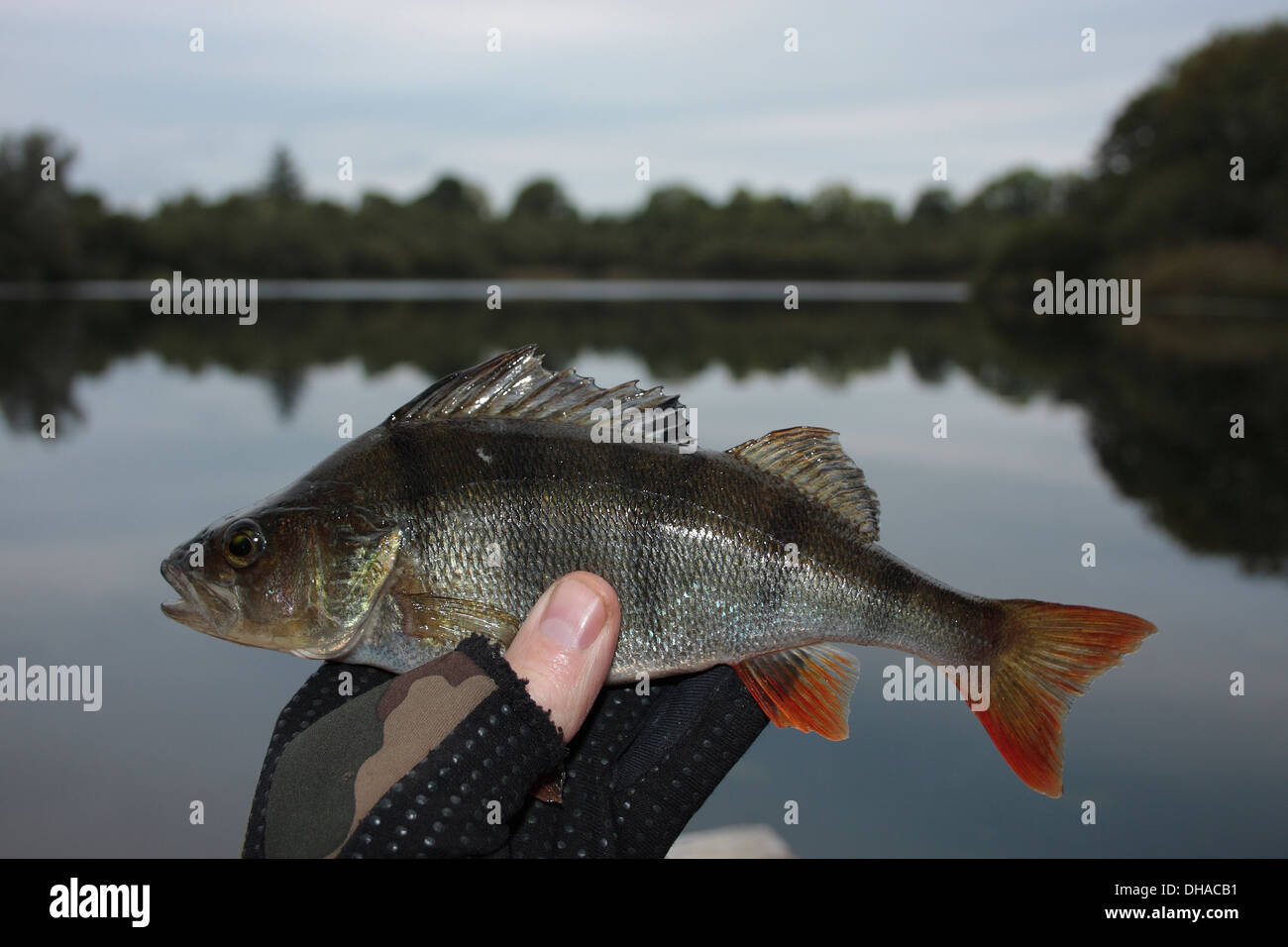 Coarse fishing uk hi-res stock photography and images - Alamy