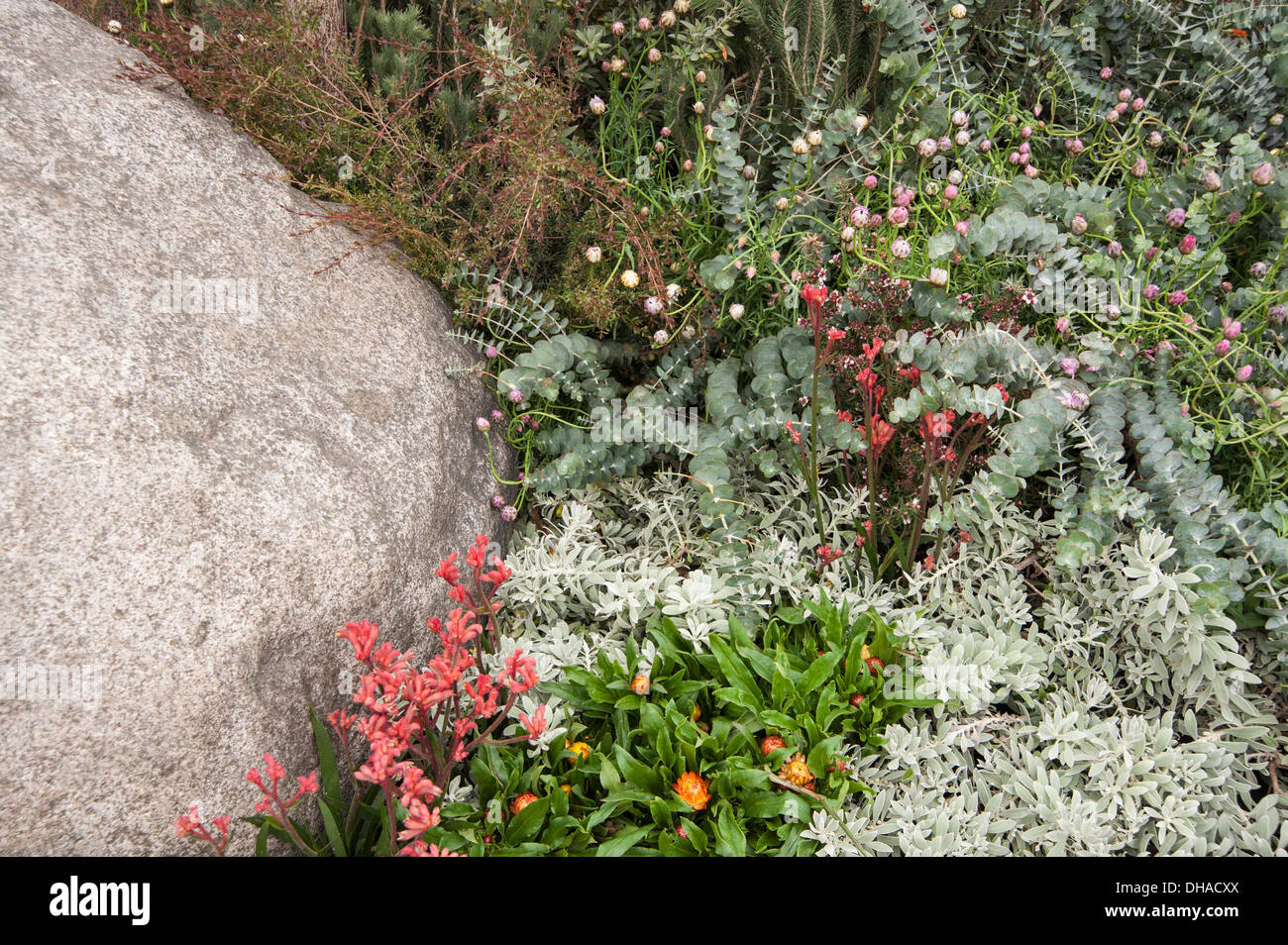 Australian garden chelsea flower show hi-res stock photography and ...
