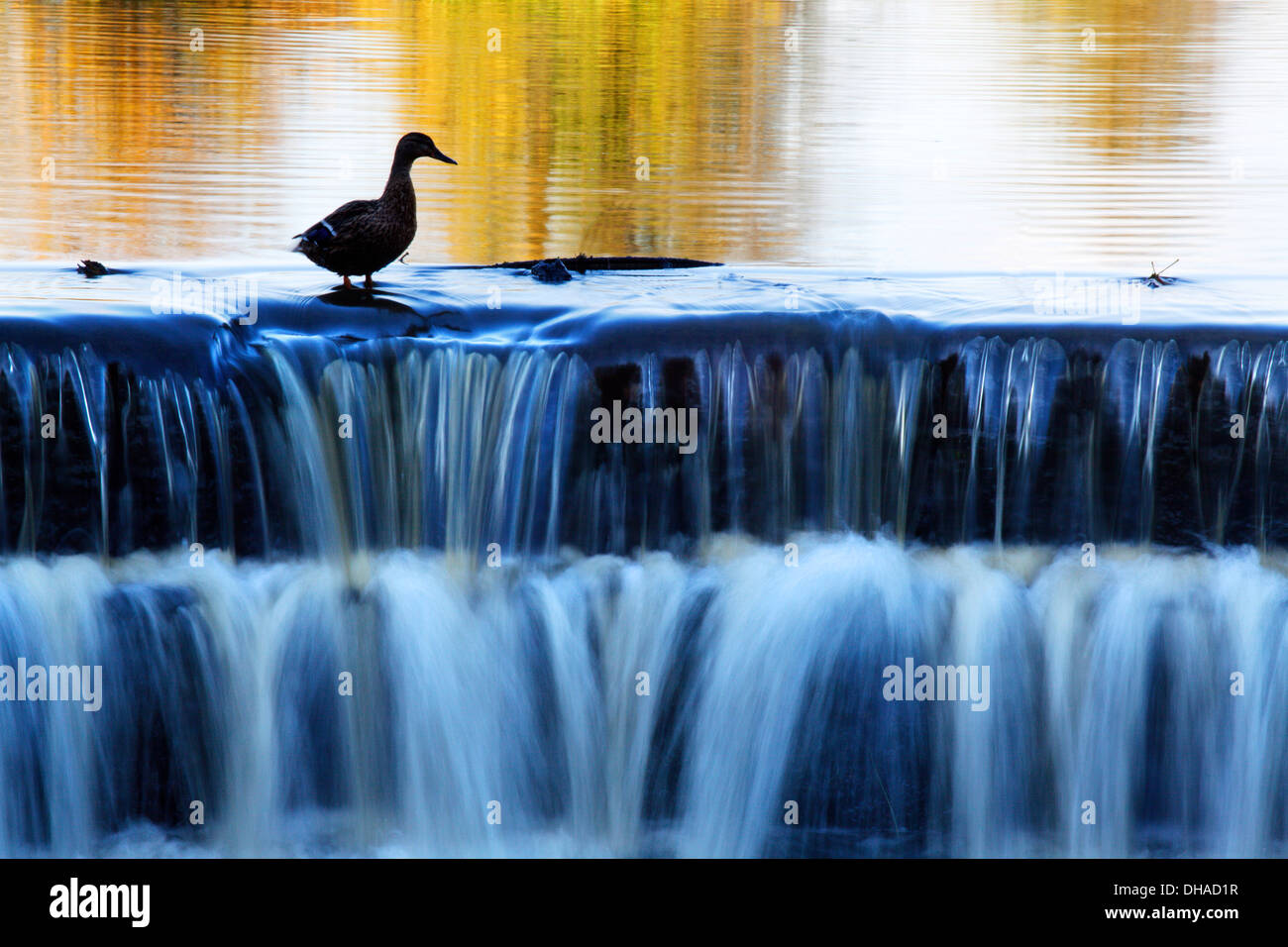 Ripley Lake High Resolution Stock Photography and Images - Alamy