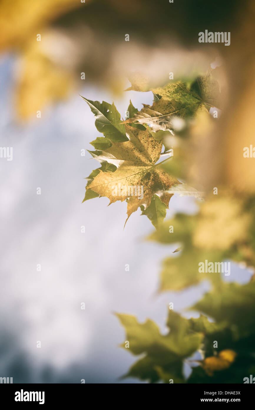 Noticeable change hi-res stock photography and images - Alamy