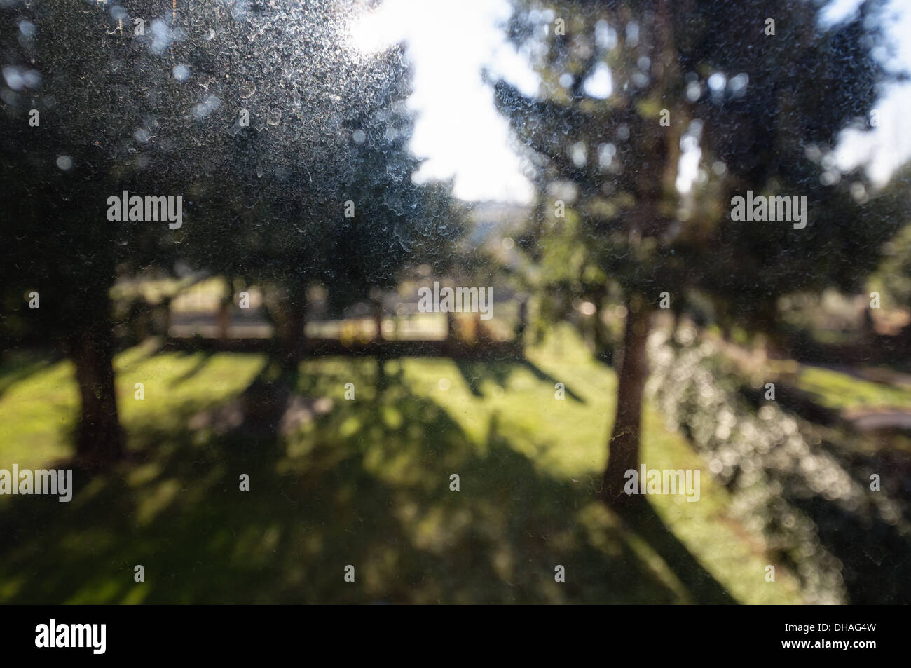 Garden out of focus background hi-res stock photography and images - Alamy