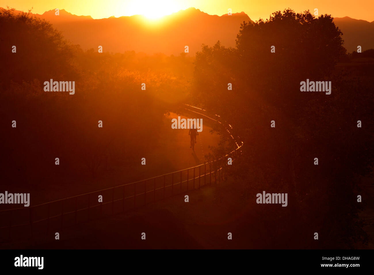 A cyclist rides The Loop at the Rillito River Park in the Sonoran ...