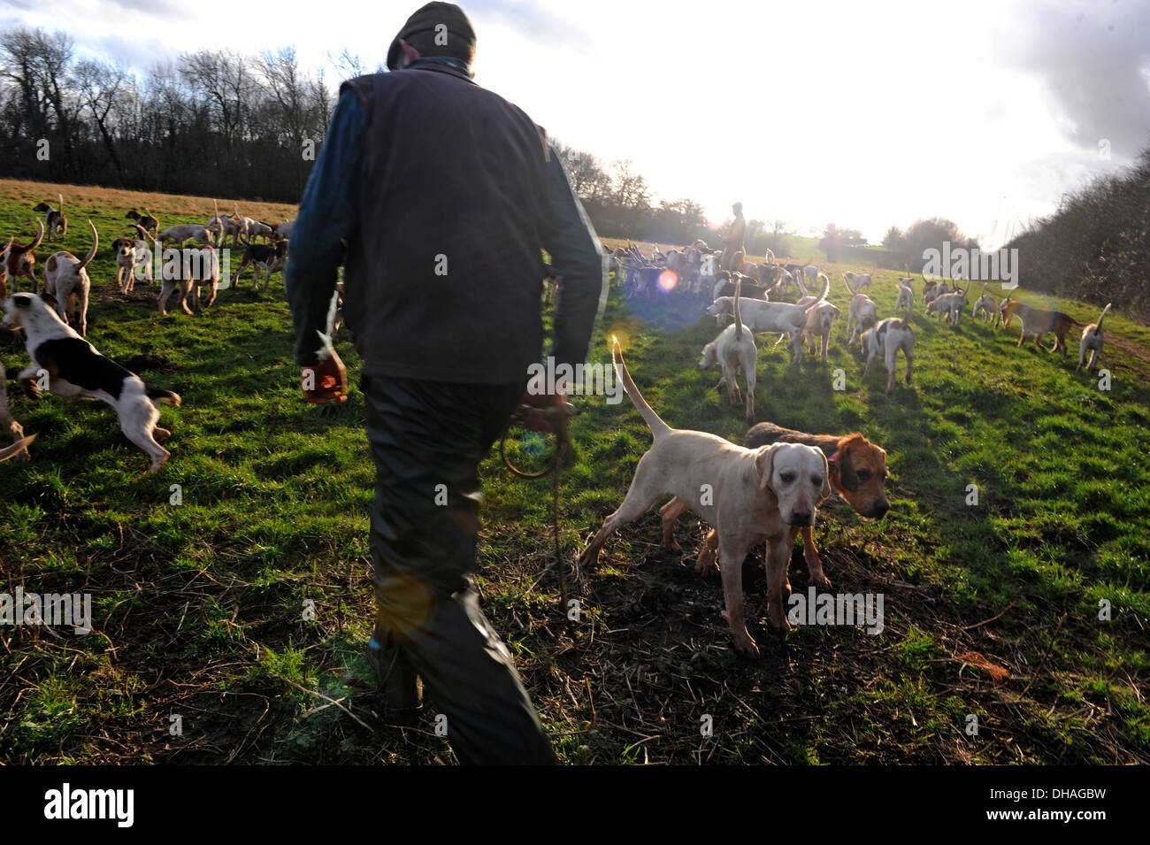 British fox hunt hi-res stock photography and images - Alamy
