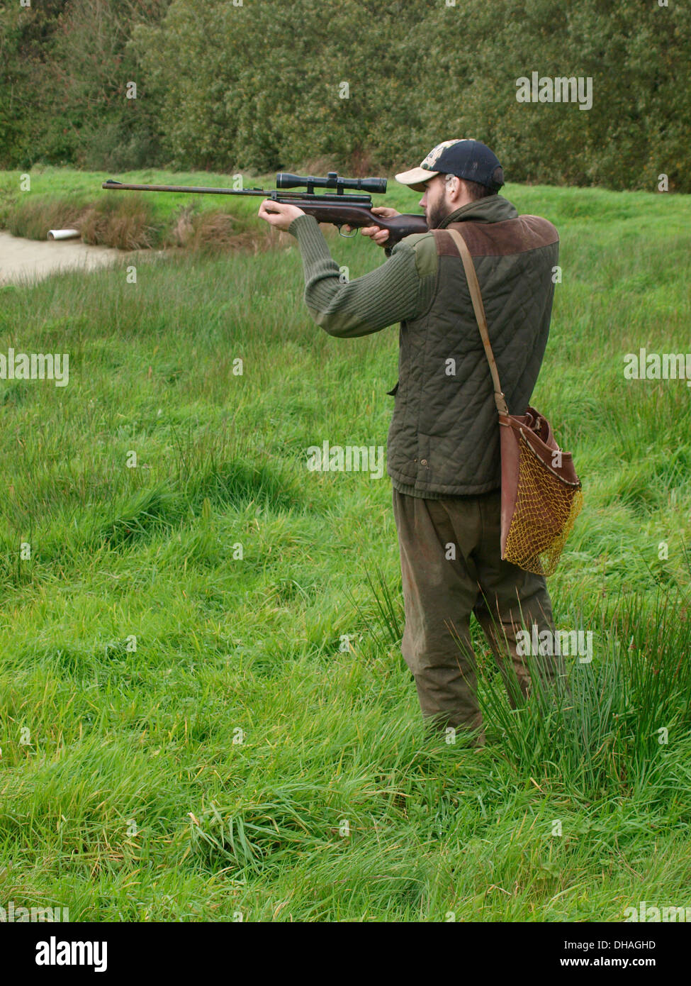Air rifle hunting hi-res stock photography and images - Alamy