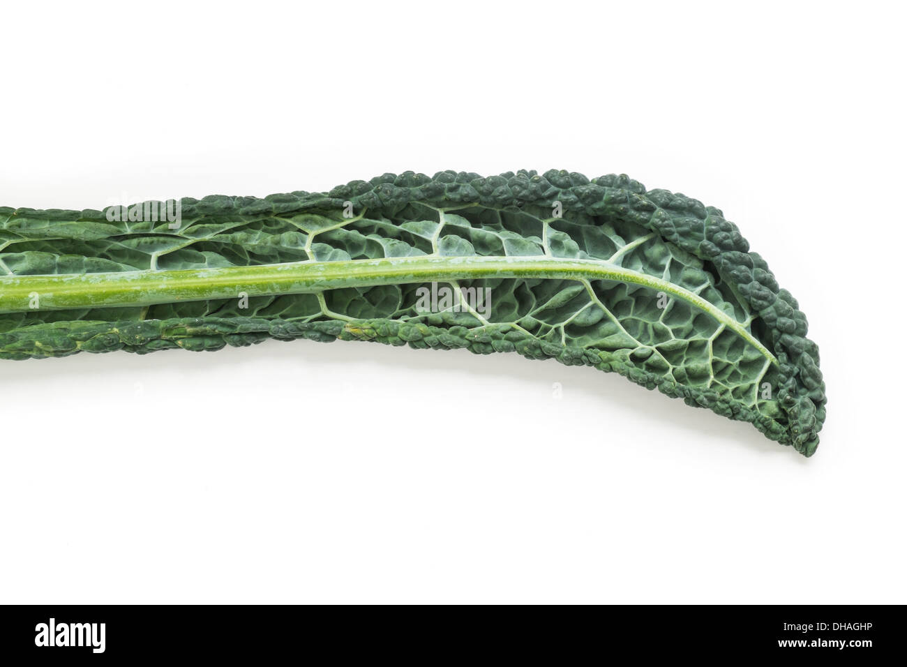 Tuscan cavolo nero hi-res stock photography and images - Alamy